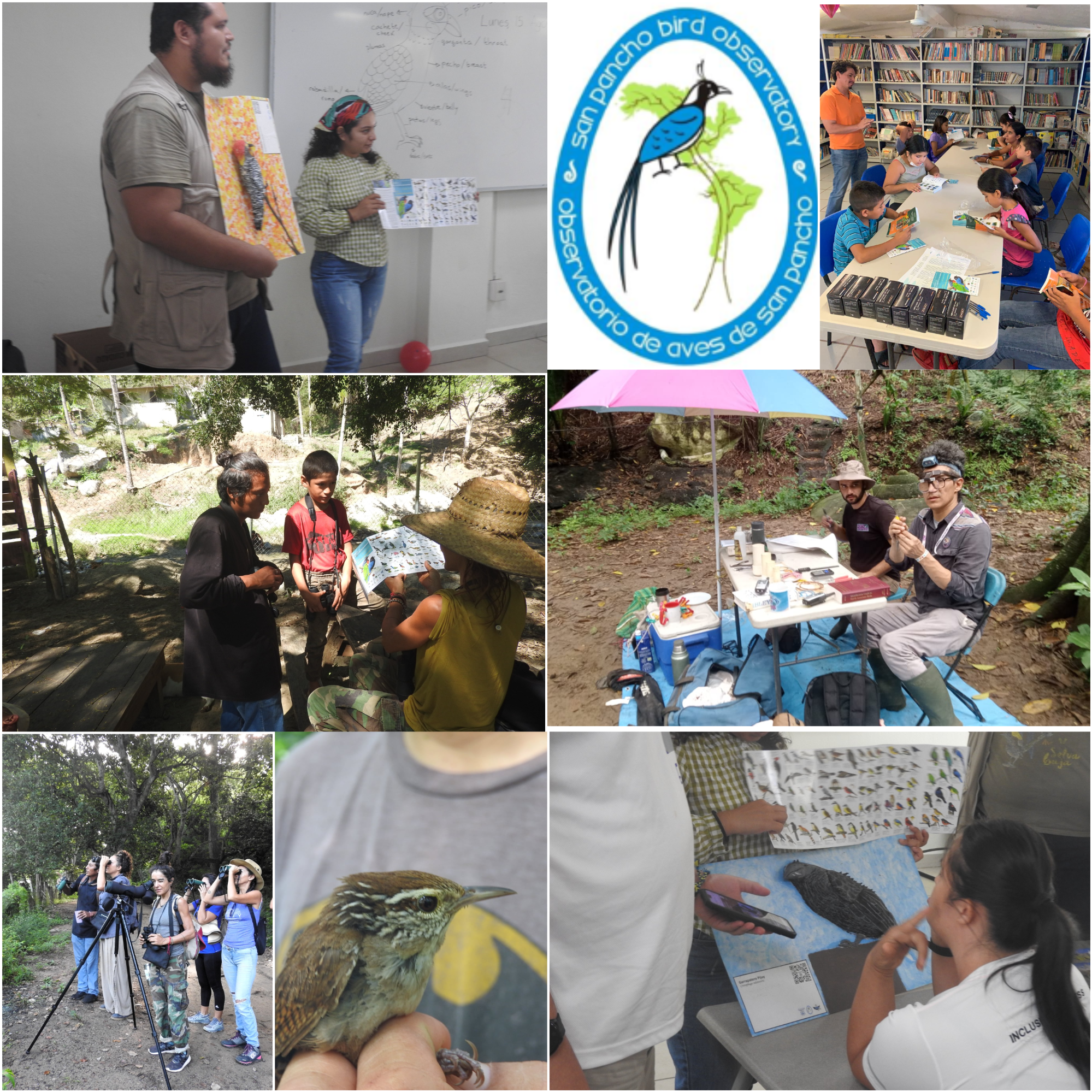 Building a Better Future Together with Eagle’s Wings Foundation - My ...