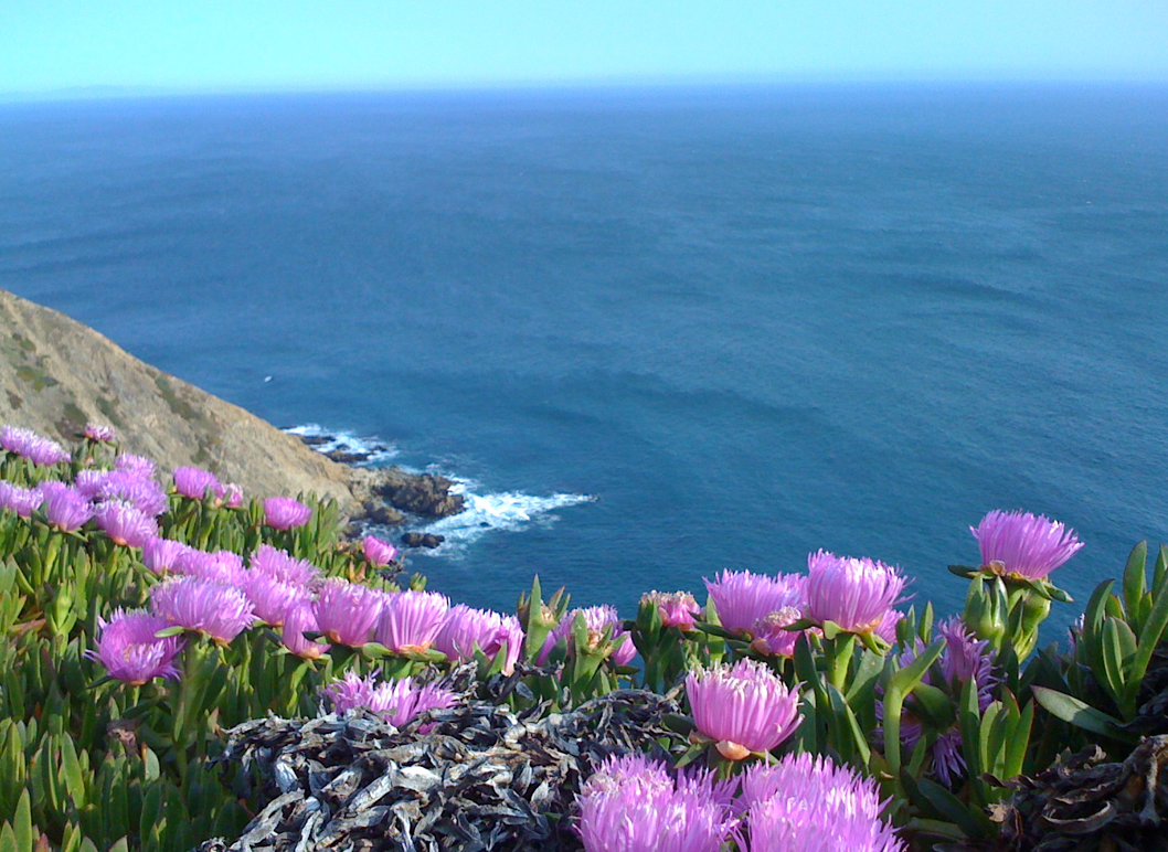 Discover the Beauty of Spring in Mexico - My UVCI blog